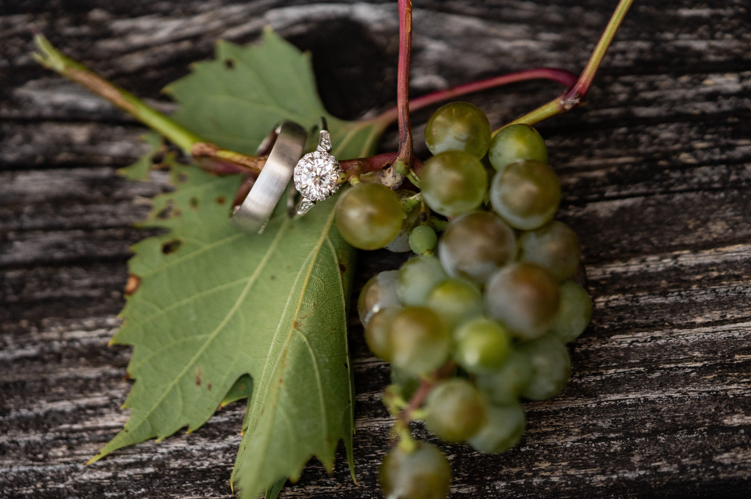 Dana & Thomas | Acquaviva Winery - Lauren Ashley Studios | Wedding ...